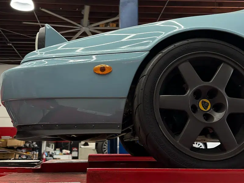 Independent Lotus Maintenance Service in Reseda