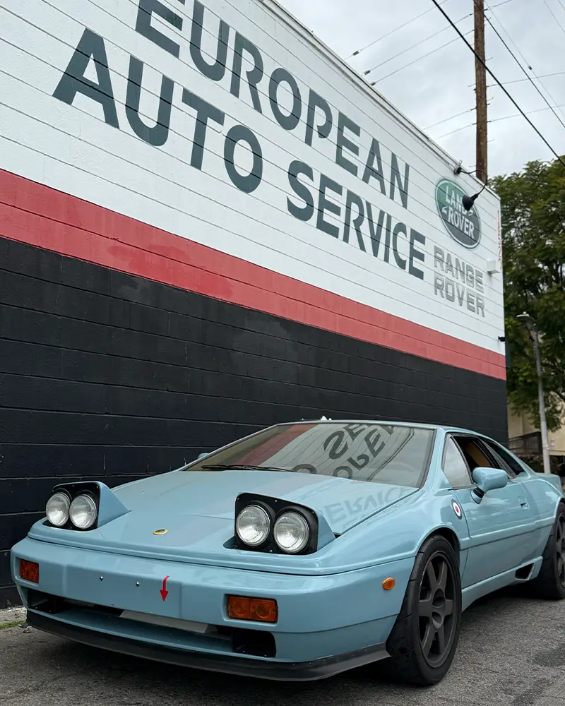 Independent Lotus Maintenance Service in Reseda